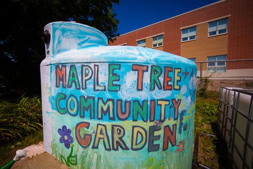 Maple Tree Community Garden - Durham Integrated Growers